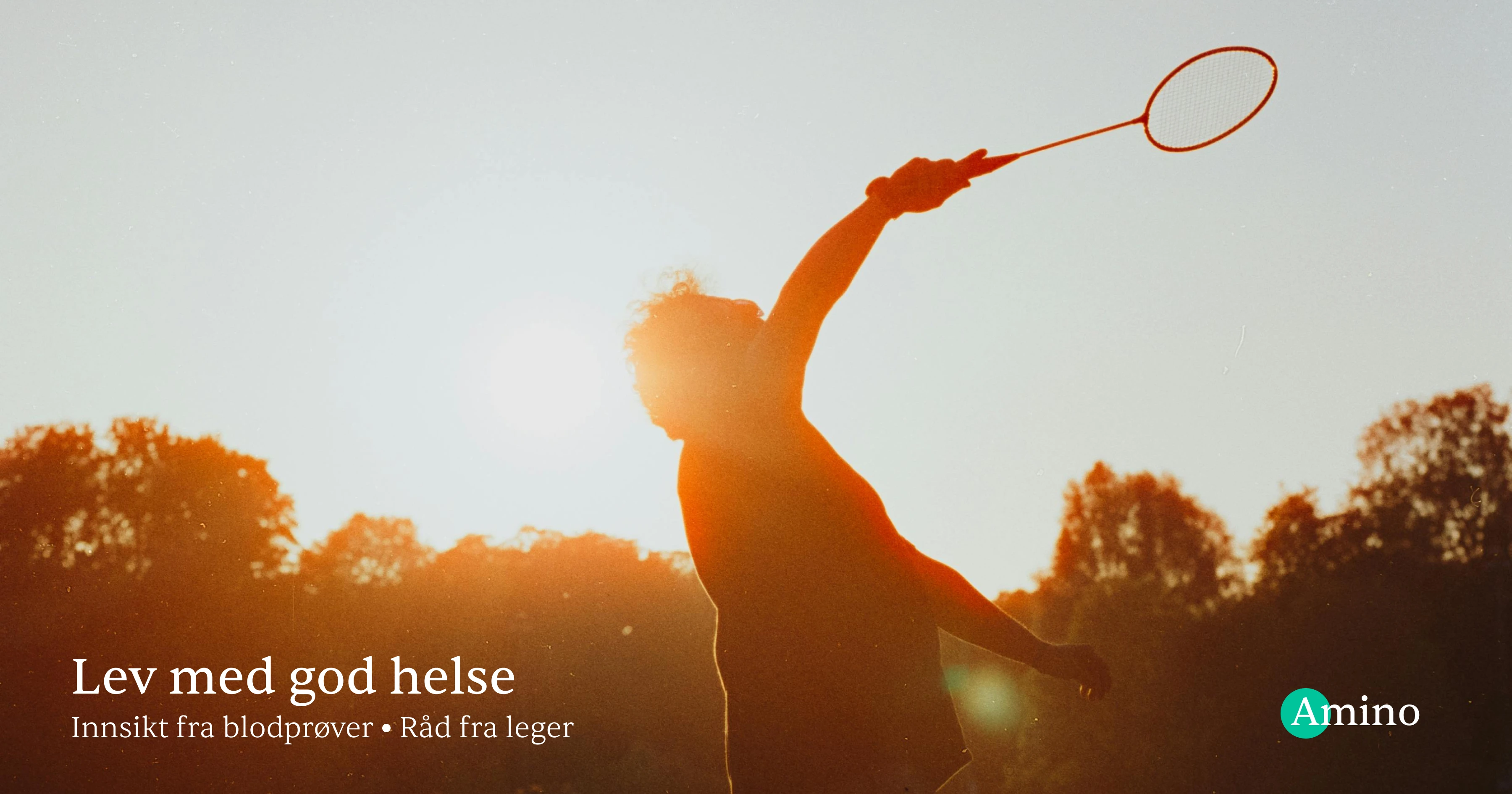 Leverprøver – ALAT, ASAT, ALP og GT: hva betyr de? | Amino